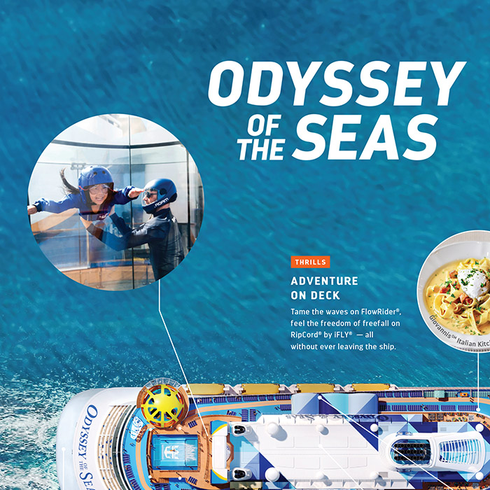 Odyssey Reveal Infographic